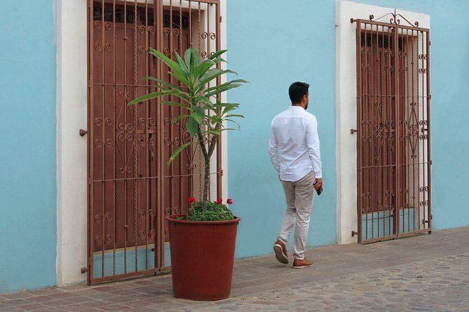 Private Oaxaca Walking Tour with Mezcal Tasting - The Itinerary in Detail