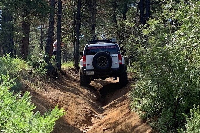 Private Off Road Adventure Tours in the Prescott National Forest - Customer Reviews and Experiences