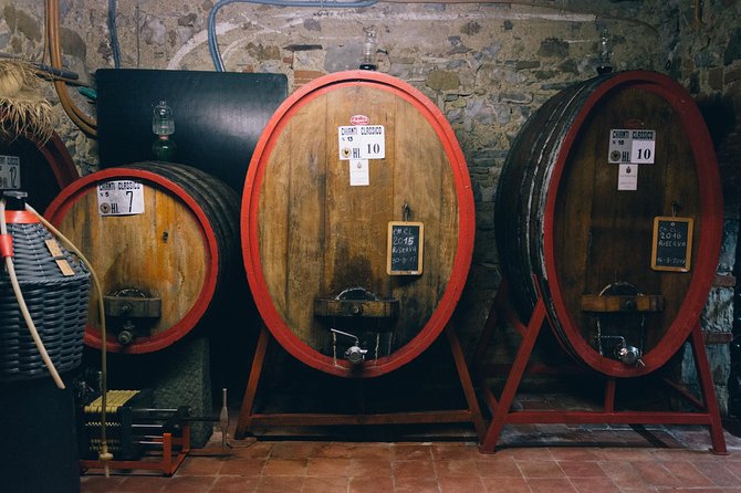 Private Off Road Wine Tour in Chianti - The Culinary Delights: Wine and Traditional Tuscan Cuisine