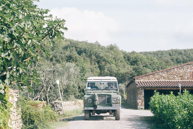 Private Off Road Wine Tour in Chianti - Traveler Reviews and Testimonials