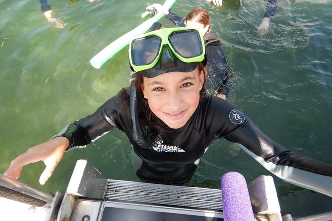 Private 'OG' Manatee Snorkel Tour with Guide for up to 10 people - The Sum Up