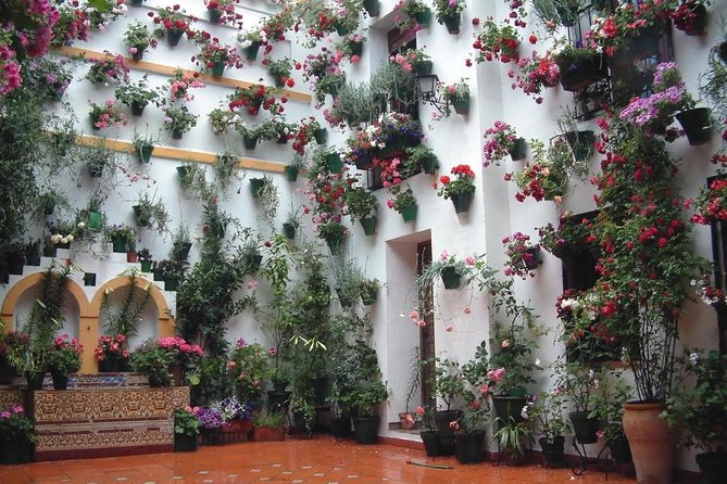 Private Old Cordoba walking tour and Mosque-Cathedral - Who Is This Tour Best For?