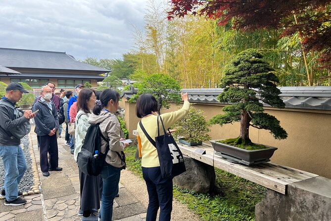 Private Omiya Bonsai Village Tour With Licensed Guide - Preparing for the Tour and Transportation Options