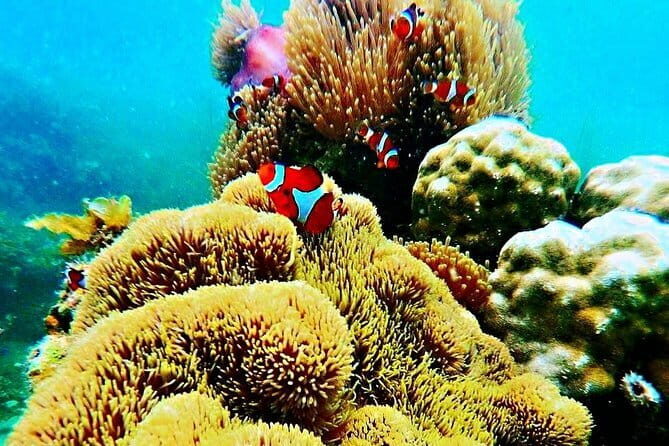 Private One Day Bintan Island Tour - Frequently Asked Questions