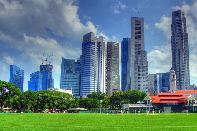 Private One Day Highlight Tour of Singapore with Singapore Flyer - Why This Tour Excels