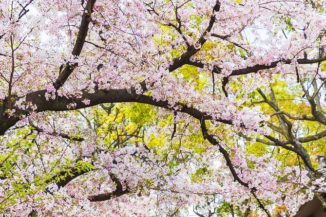 Private One Day Nikko Tour With Bilingual Driver - Visiting Nikko Tamozawa Imperial Villa and Kegon Falls