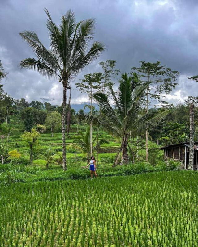 Private One-Day Tour: Authentic Tete Batu & Sukarara Village - Key Points