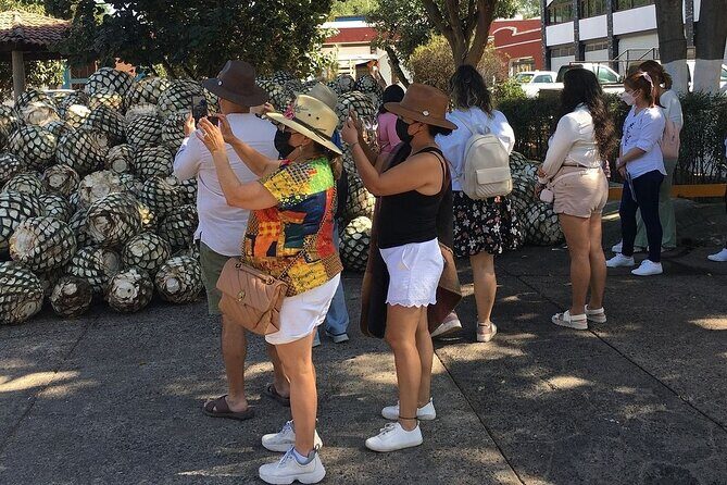 Private One Day Tour in Los Guachimontones and José Cuervo Tequila - The Sum Up: Who Should Consider This Tour?