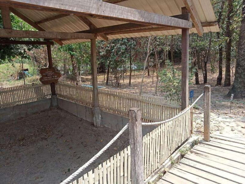 Private One Day Tour in Phnom Penh Capital City - Exploring the Itinerary: What You Can Expect