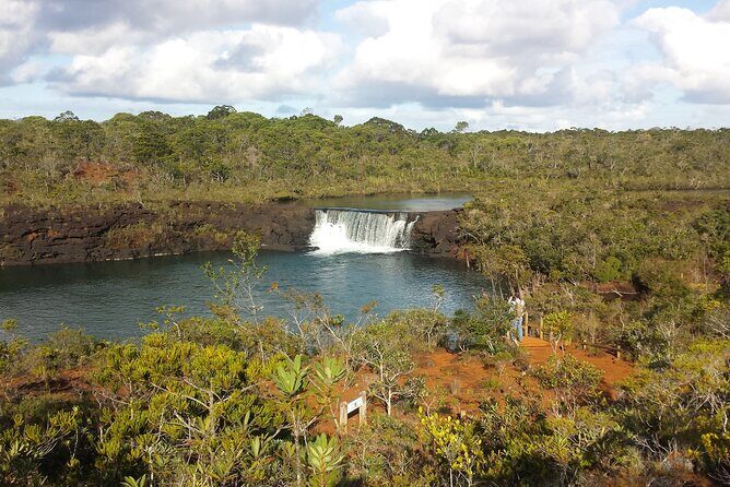 Private One Day Tour through The Deep South - Real Traveler Perspectives