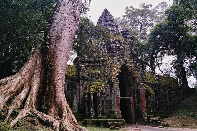 Private One Day Trip-The Best Experience in Siem Reap - A Closer Look at the Itinerary