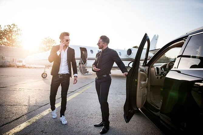 Private One-way Airport Transfer Barcelona Airport to Barcelona - Accessibility and Additional Options