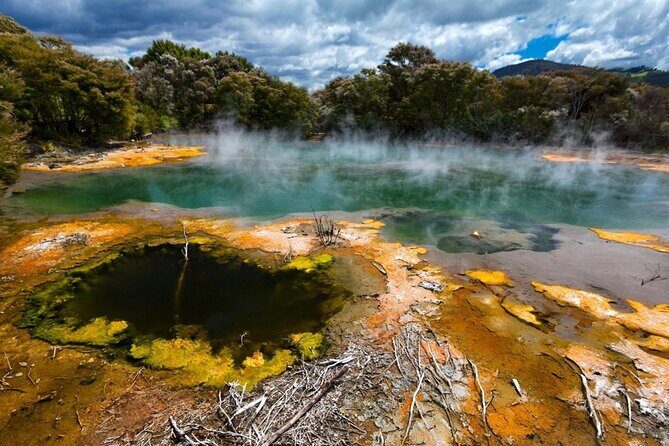 Private One-Way Transfer: Auckland Airport to Hamilton/Rotorua - Practical Tips for Travelers