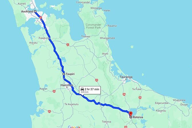 Private One-Way Transfer: Auckland Airport to Hamilton/Rotorua - Final Thoughts