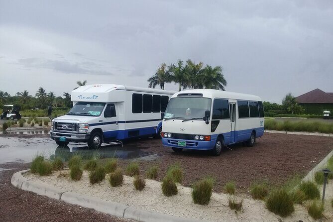 Private One-Way Transfer from Lynden Airport to Bahamas - The Transfer Experience: What to Expect