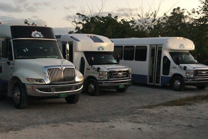 Private One-Way Transfer from Lynden Airport to Bahamas - Who Is This Transfer Best For?