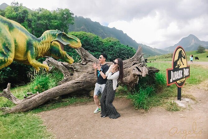 Private One way Transfer Waikiki Hotel and Kualoa Ranch - An In-Depth Look at the Transfer Experience