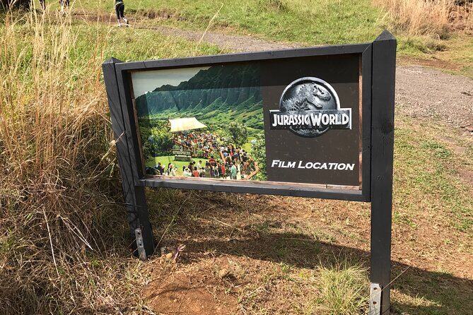 Private One way Transfer Waikiki Hotel and Kualoa Ranch - Who Should Consider This Service