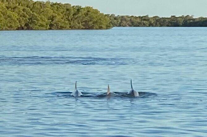 Private ONLY Dolphin Boat Tours - Who Will Enjoy This Tour?