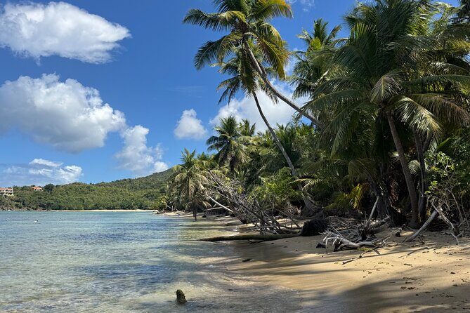 Private Open-Air Jeep Adventure with Tropic Sun Hidden Beaches - What Travelers Love