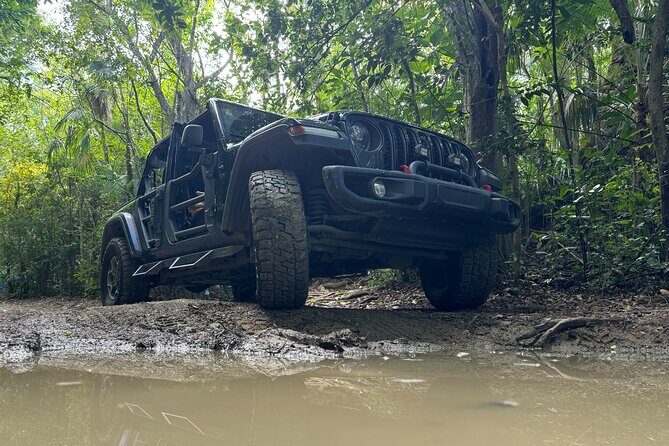 Private Open-Air Jeep Adventure with Tropic Sun Hidden Beaches - The Sum Up: Is It Worth It?