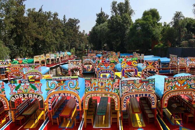 Private or Shared Tour Xochimilco Coyoacán and Frida Kahlo Museum - Key Points