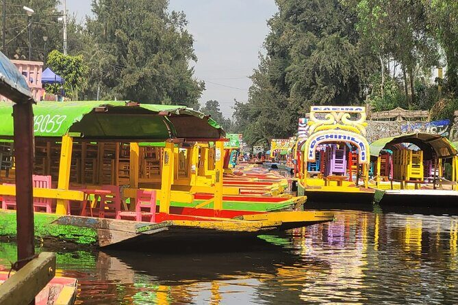 Private or Shared Tour Xochimilco Coyoacán and Frida Kahlo Museum - Exploring Coyoacán: Streets, Market, and Local Flavors