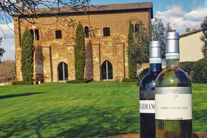 Private Orvieto Daytrip from Rome with Winery Visit - Key Points