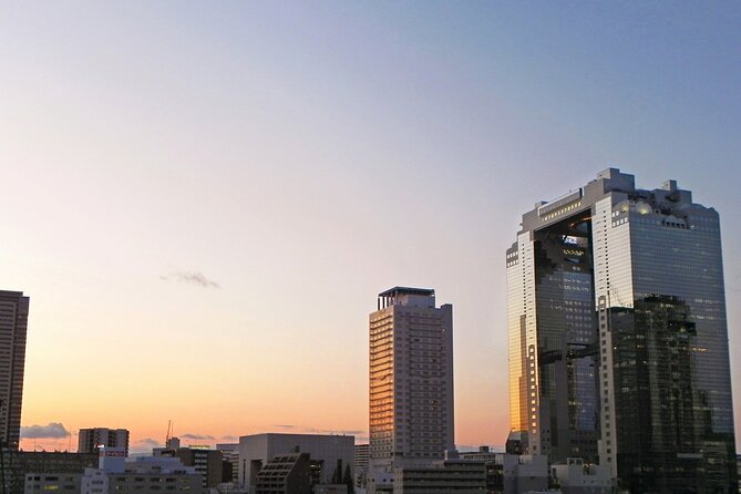 Private Osaka Tour From Kyoto With Guide by Public Transportation - Public Transportation