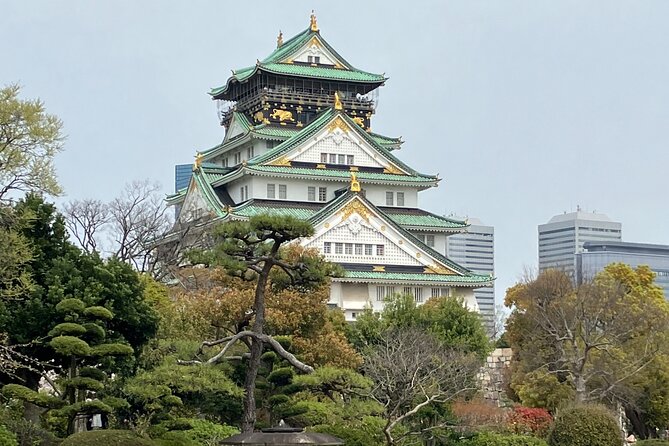Private Osaka Tour With Hotel Pick up - Accessibility and Health Considerations