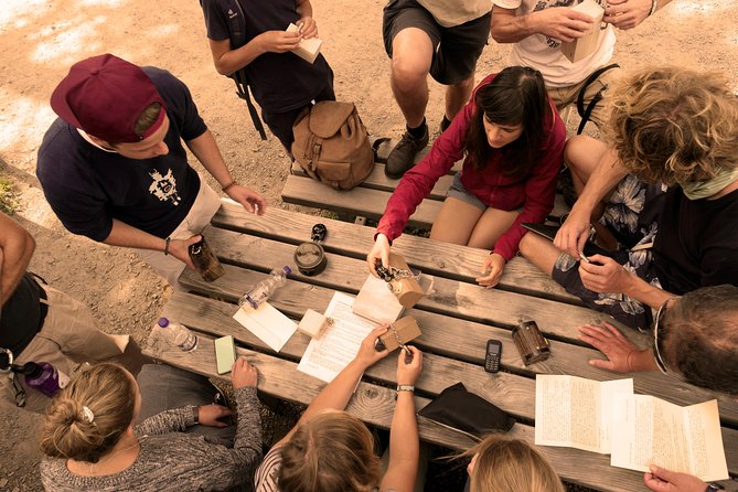 Private: Outdoor  Escape  Experience Freiburg: Luise & Friedrich - A Deep Dive into the Freiburg Outdoor Escape Game