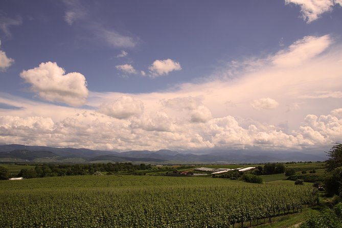 Private: Outdoor Escape Game Tuniberg: Eduardo & the Wine Secret - Review of the Private: Outdoor Escape Game Tuniberg: Eduardo & the Wine Secret