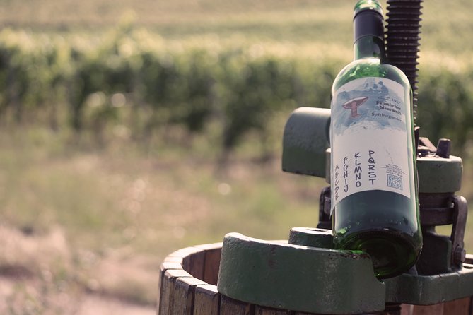 Private: Outdoor Escape Game Tuniberg: Eduardo & the Wine Secret - Who Should Consider This Tour