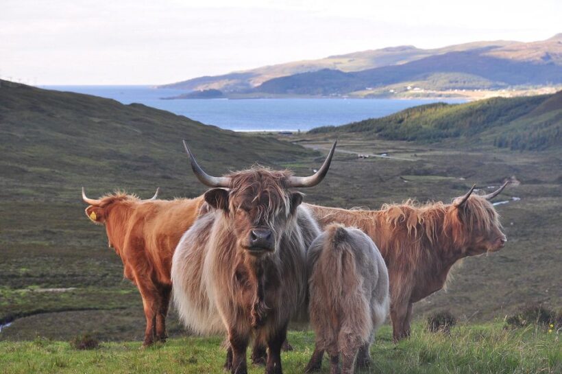 Private Outlander Tour for Small Groups - Introduction