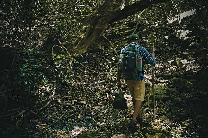 Private Overnight Adventure Tour to Knuckles and Meemure Village with Camping - What Could Be Better?