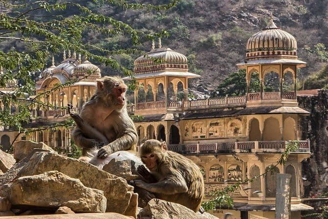 Private Overnight Jaipur City Tour from Delhi - Transportation and Logistics