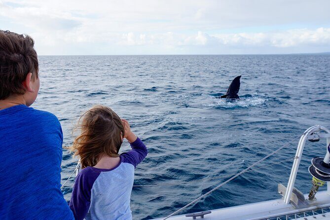 Private Overnight Skippered Humpback Whale Watch Experience - Final Thoughts