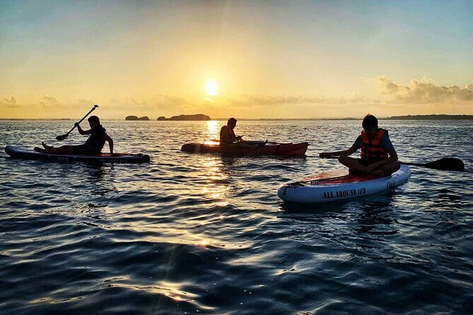Private Paddle Tour at Sunrise - Why This Tour Stands Out