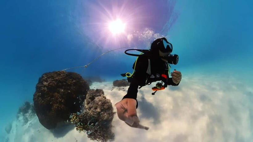 Private Padi Open water diver course - Why Consider the Private PADI Open Water Diver Course?