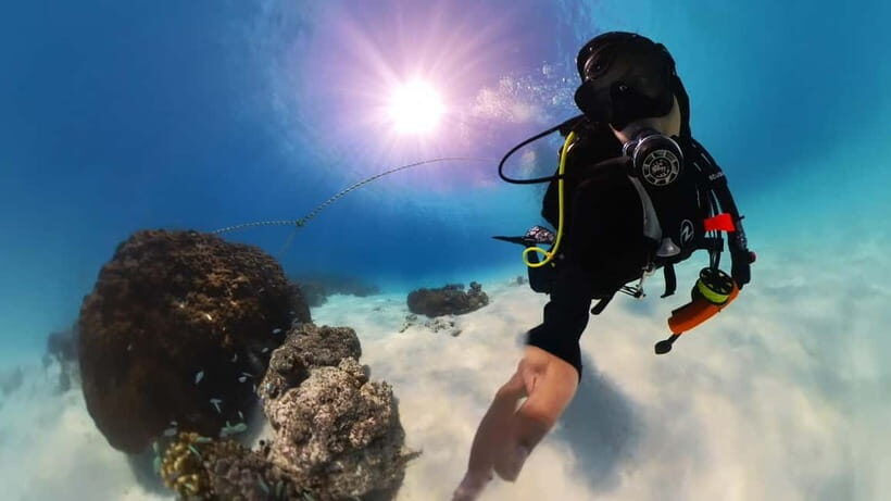Private Padi Open water diver course - What to Expect During the Course