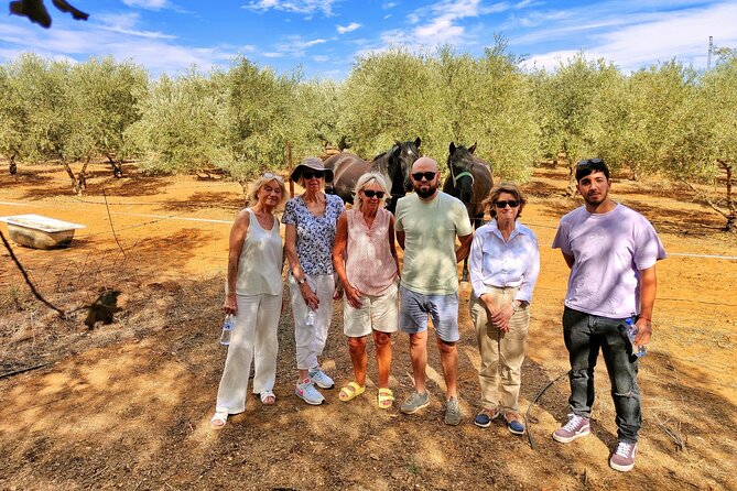 Private Paella Master Class at Olivos Farm - Who Should Consider This Tour?