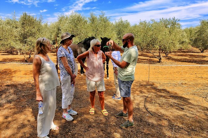 Private Paella Master Class at Olivos Farm - The Sum Up