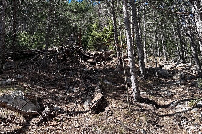 Private Paklenica Hiking Tour from Zadar up to 8 people - The Itinerary Breakdown