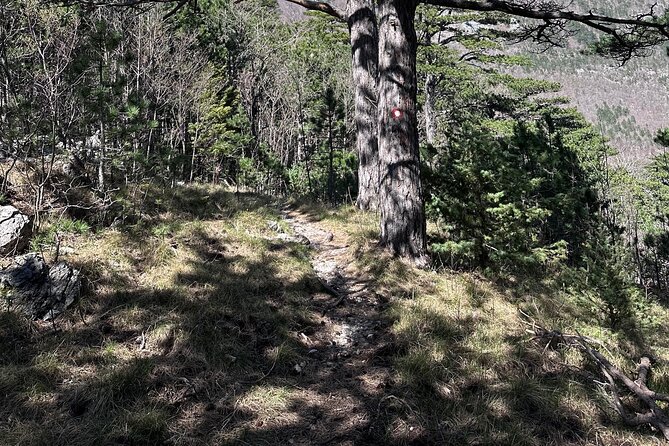 Private Paklenica Hiking Tour from Zadar up to 8 people - The Value of a Private Guided Tour