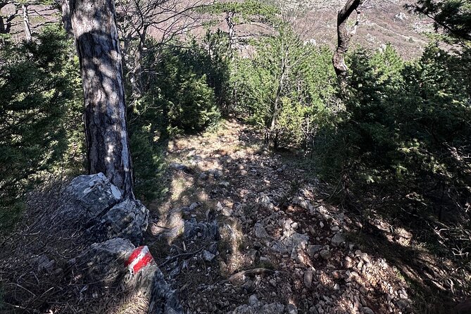 Private Paklenica Hiking Tour from Zadar up to 8 people - Who Will Love This Tour?