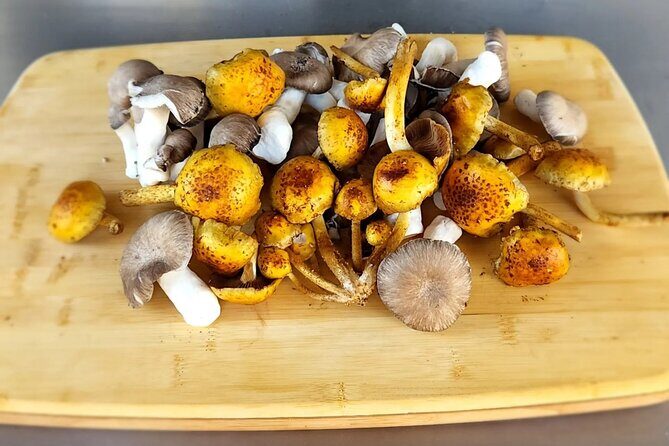 Private Palm Springs Cooking Class with a Fun Local Chef Stephen - Final Thoughts: Who Would Enjoy This?