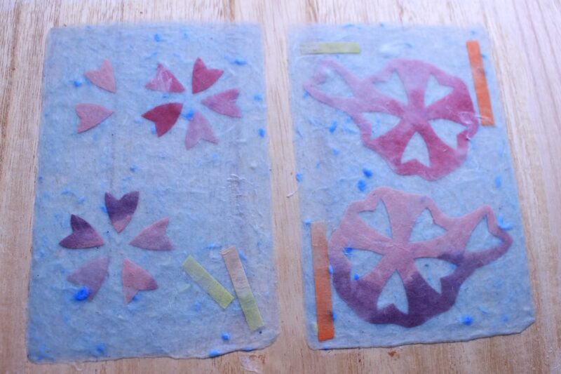 Private Paper Drawing Art Workshop in Ueno - About the Instructor