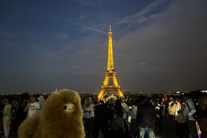 Private Paris City Night Sightseeing Tour - Sparkle Eiffel Tower - What Travelers Love About This Experience