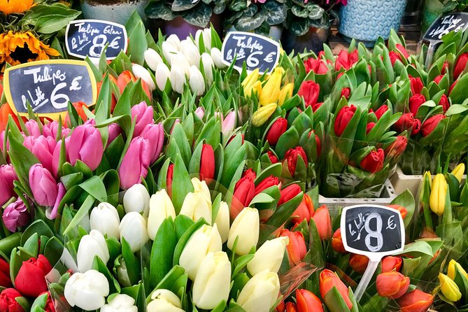 Private Paris Marche d'Aligre Walking Tour with Tastings - Who Will Love This Tour?