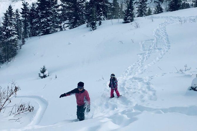 Private Park City Snowshoe Excursions (9:30am/12:30pm start time) - What the Experience Looks Like